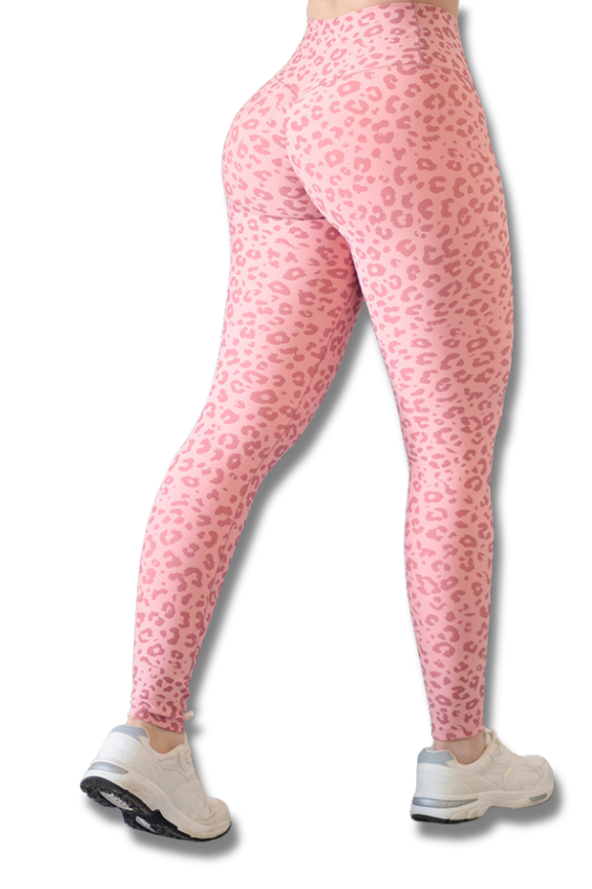 PUSH UP 4795 – ponte fit